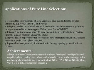 Methods of plant breeding in self pollinating plants | PPTX