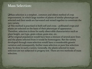 Methods of plant breeding in self pollinating plants | PPTX
