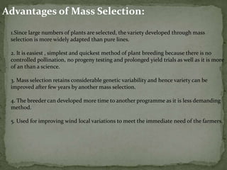 Methods of plant breeding in self pollinating plants | PPTX