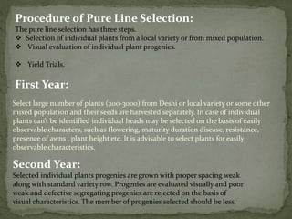 Methods of plant breeding in self pollinating plants | PPTX