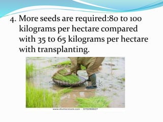 Methods of planting | PPTX