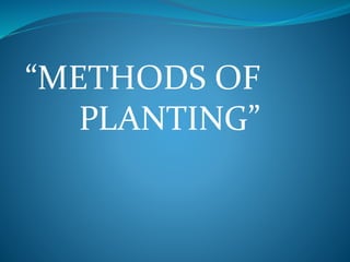 Methods of planting | PPTX