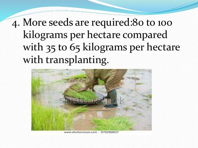 Methods Of Planting