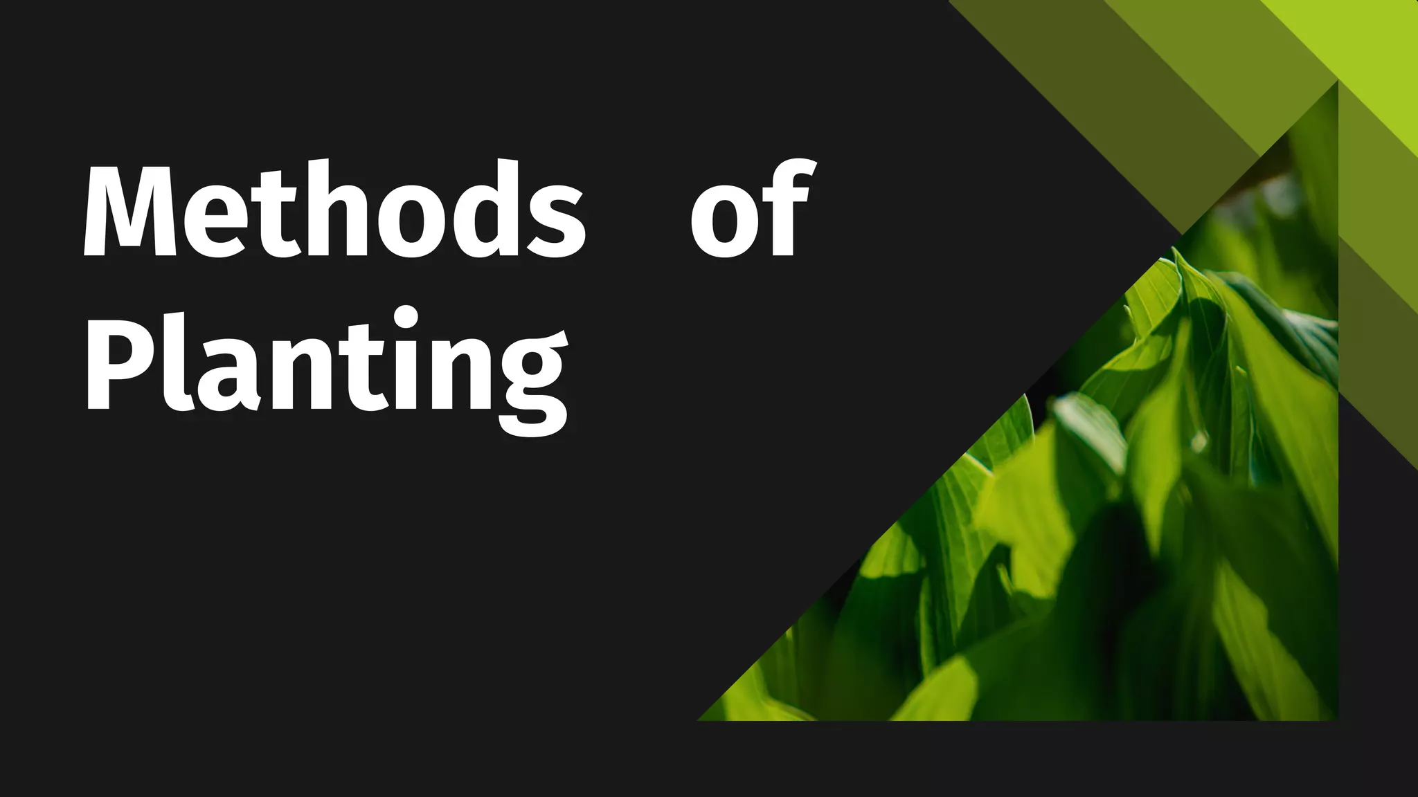 Methods of Planting.pdf