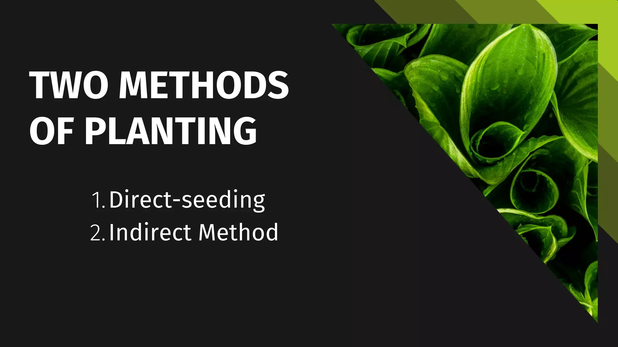 Methods of Planting.pdf