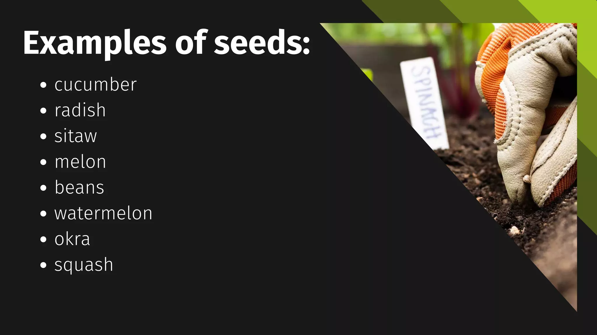 Methods of Planting.pdf