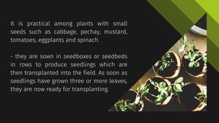 Methods of Planting.pdf