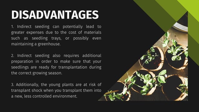 Methods of Planting.pdf | Gardening | Home & Garden