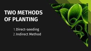 Methods of Planting.pdf