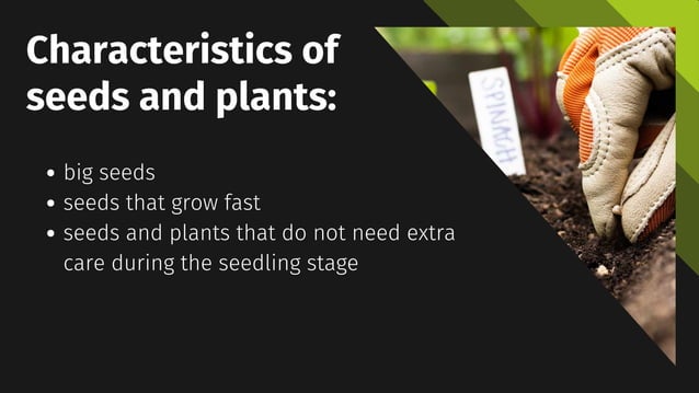 Methods of Planting.pdf | Gardening | Home & Garden