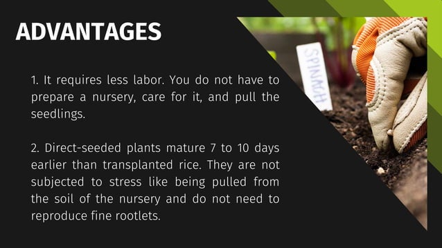 Methods of Planting.pdf | Gardening | Home & Garden