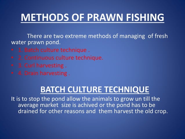 Methods of prawn fishing | PPTX | Fishing Sports | Sports