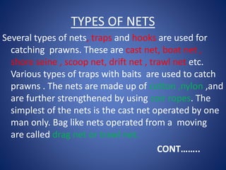 Methods of prawn fishing | PPTX