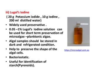 Preservation of macro and micro algae SMG | PPTX