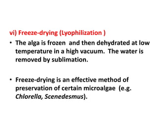 Preservation of macro and micro algae SMG | PPTX