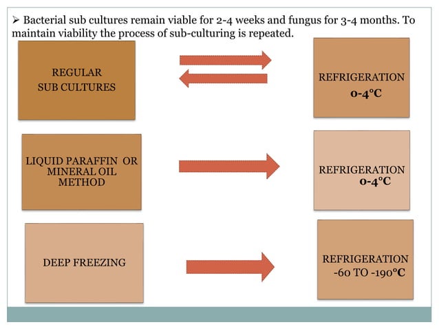 Methods Of Preservation Of Various Microbes Ppt