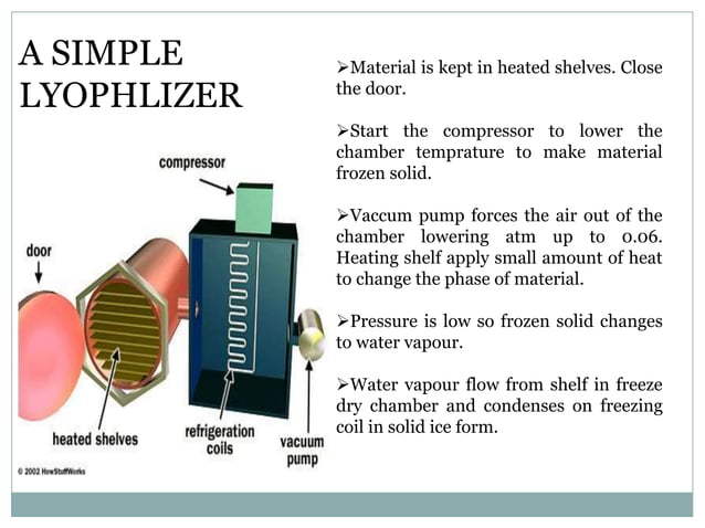 Methods Of Preservation Of Various Microbes Ppt