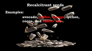 Methods of Propagation sexual and Asexual Propagation.pptx