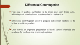 Methods of Protein separation and purification (1).pdf
