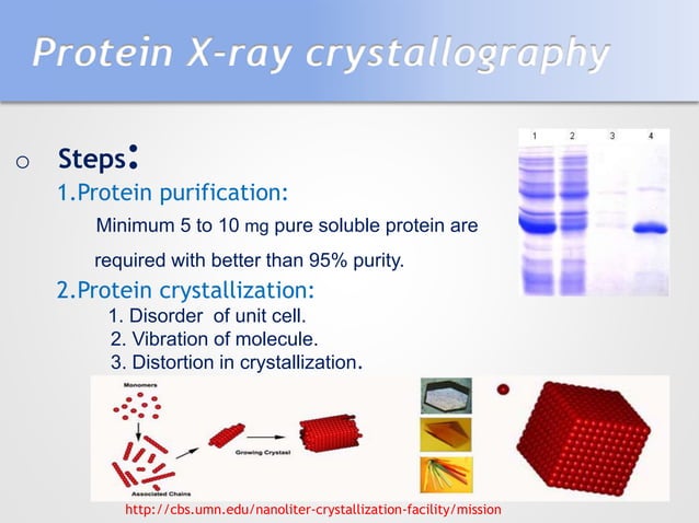 Proteinssimple Proteinsconjugated Proteinsderived Proteins