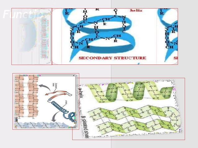 Protien structure and Methods of protein structure determination Rajesh ...