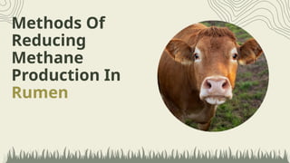 Methods of reducing methane production in rumen.pptx