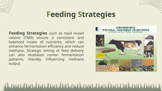Methods of reducing methane production in rumen.pptx