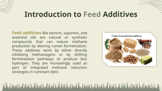 Methods of reducing methane production in rumen.pptx