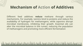 Methods of reducing methane production in rumen.pptx