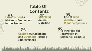 Methods of reducing methane production in rumen.pptx