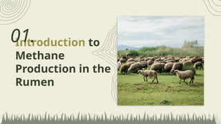 Methods of reducing methane production in rumen.pptx