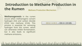 Methods of reducing methane production in rumen.pptx