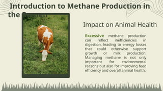 Methods of reducing methane production in rumen.pptx