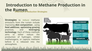 Methods of reducing methane production in rumen.pptx