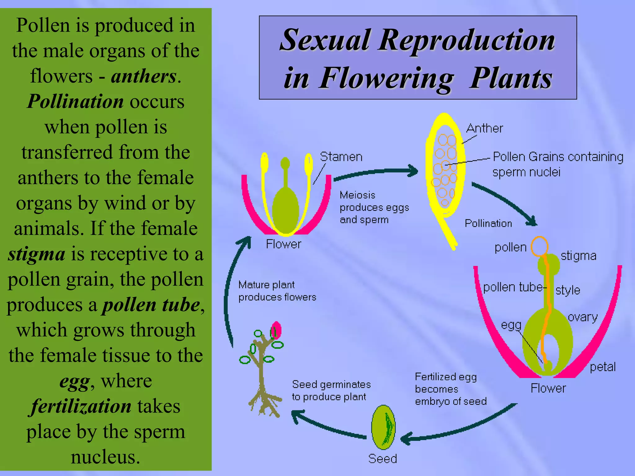 Methods/Modes of reproduction by L.Znerual | PPTX