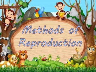 Methods/Modes of reproduction by L.Znerual | PPTX
