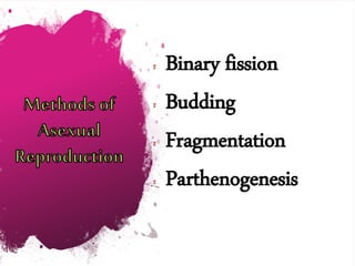 Methods/Modes of reproduction by L.Znerual | PPTX