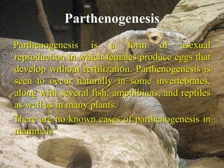 Methods of reproduction file ppt | PPT