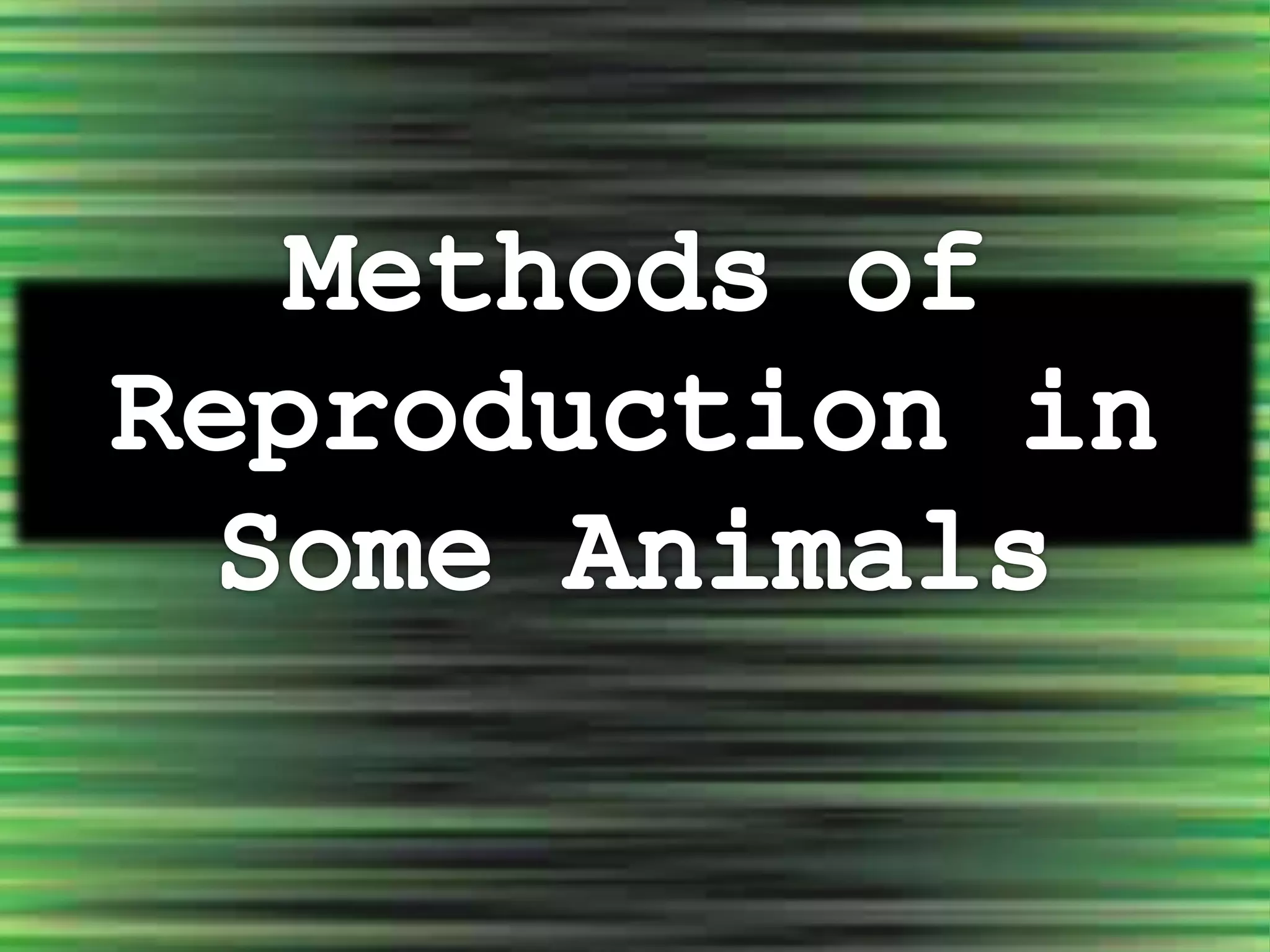 Methods of reproduction in some animals (science) | PPT