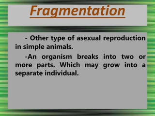 Methods of reproduction in some animals (science) | PPT