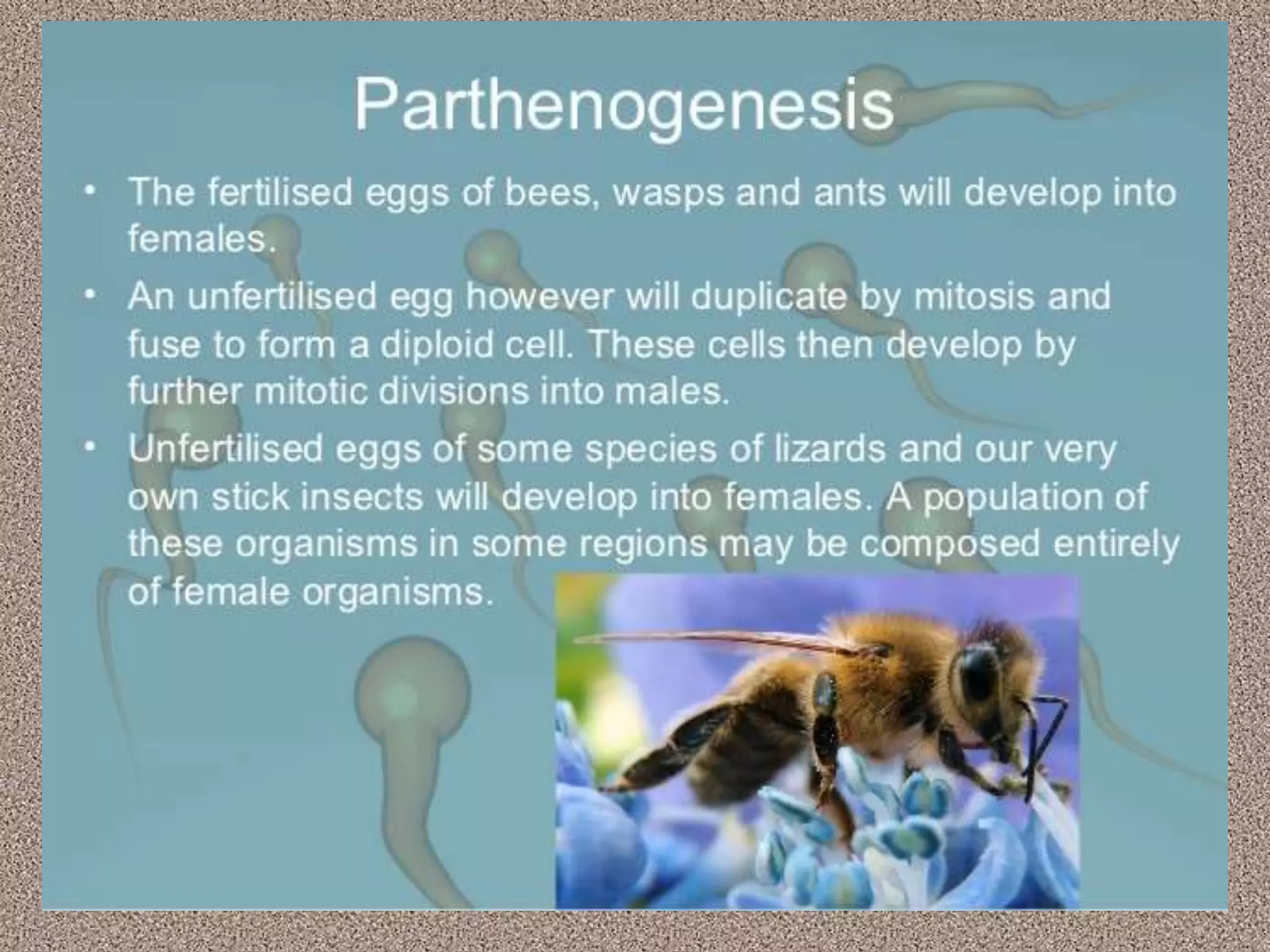 methods_of_reproduction_ppt-2 (1).ppt