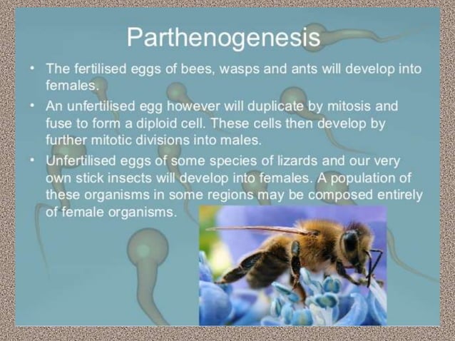 methods_of_reproduction_ppt-2 (1).ppt