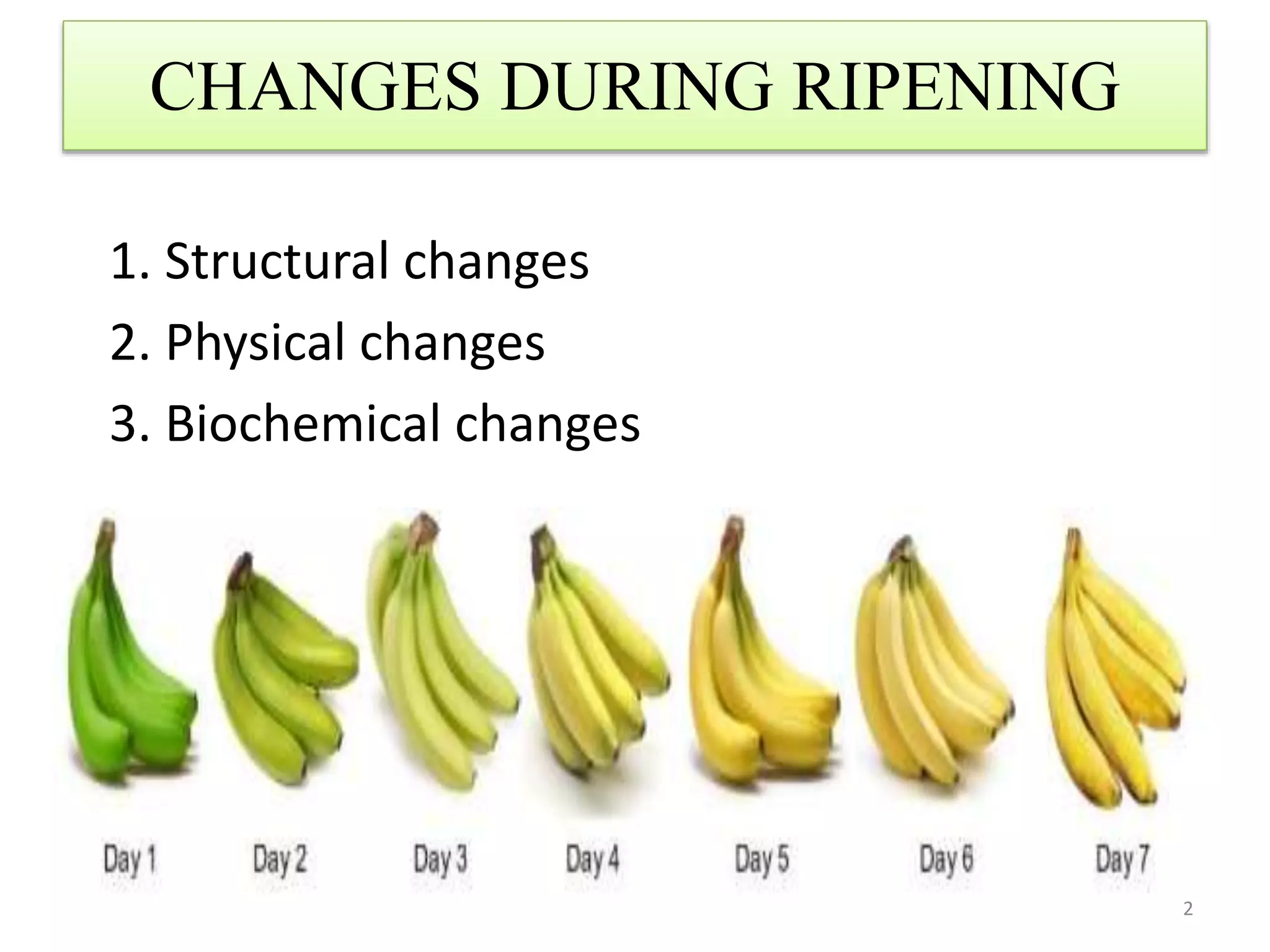 Role of ethylene in fruit ripening | PPTX