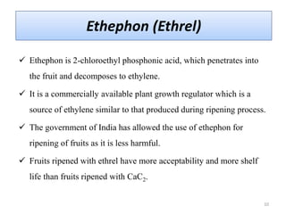 Role of ethylene in fruit ripening | PPTX