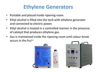 Role of ethylene in fruit ripening | PPTX