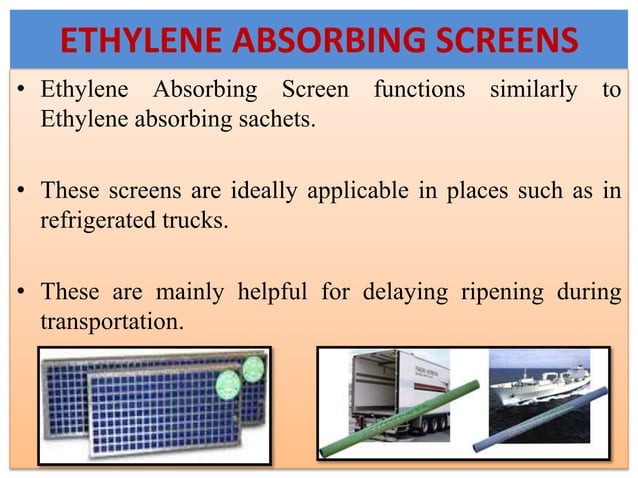 Role of ethylene in fruit ripening | PPTX | Gardening | Home & Garden