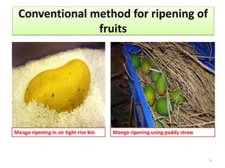 Role of ethylene in fruit ripening | PPTX