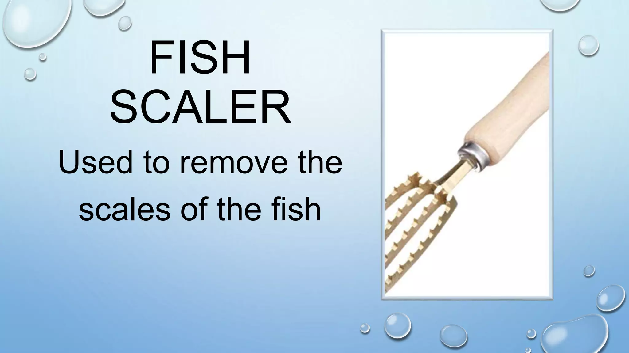 Methods of salting | PPTX