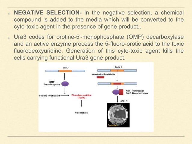 Methods of screening | PPTX