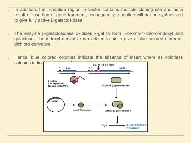 Methods of screening | PPTX